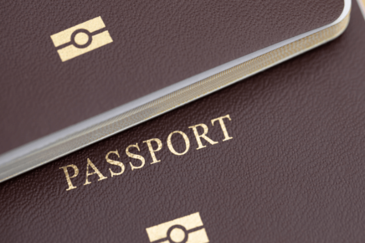 Biometric Passport Logo Biometric Passport Icon Simple Vector.